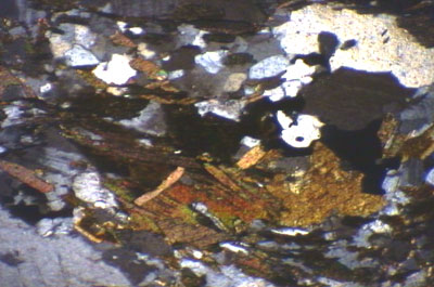 Microscope Polarisant Virtuel - Diorite