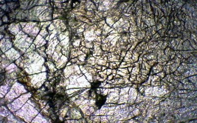 Microscope Polarisant Virtuel - Péridotite