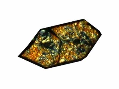 Microscope Polarisant Virtuel - Pyroxène