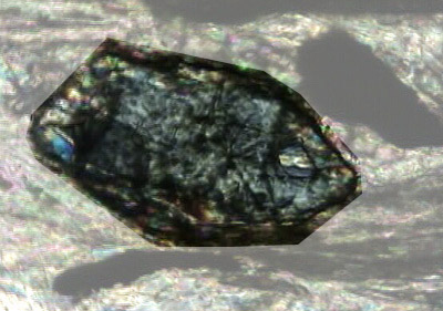 Microscope Polarisant Virtuel - Glaucophane